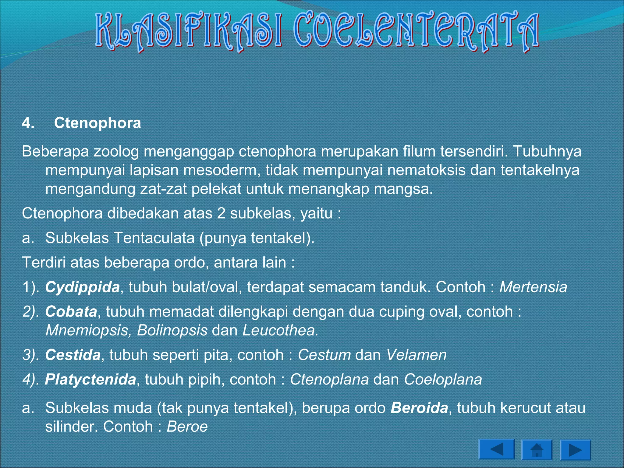 Coelenterata biologi | PPT
