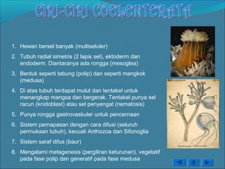 Coelenterata biologi | PPT