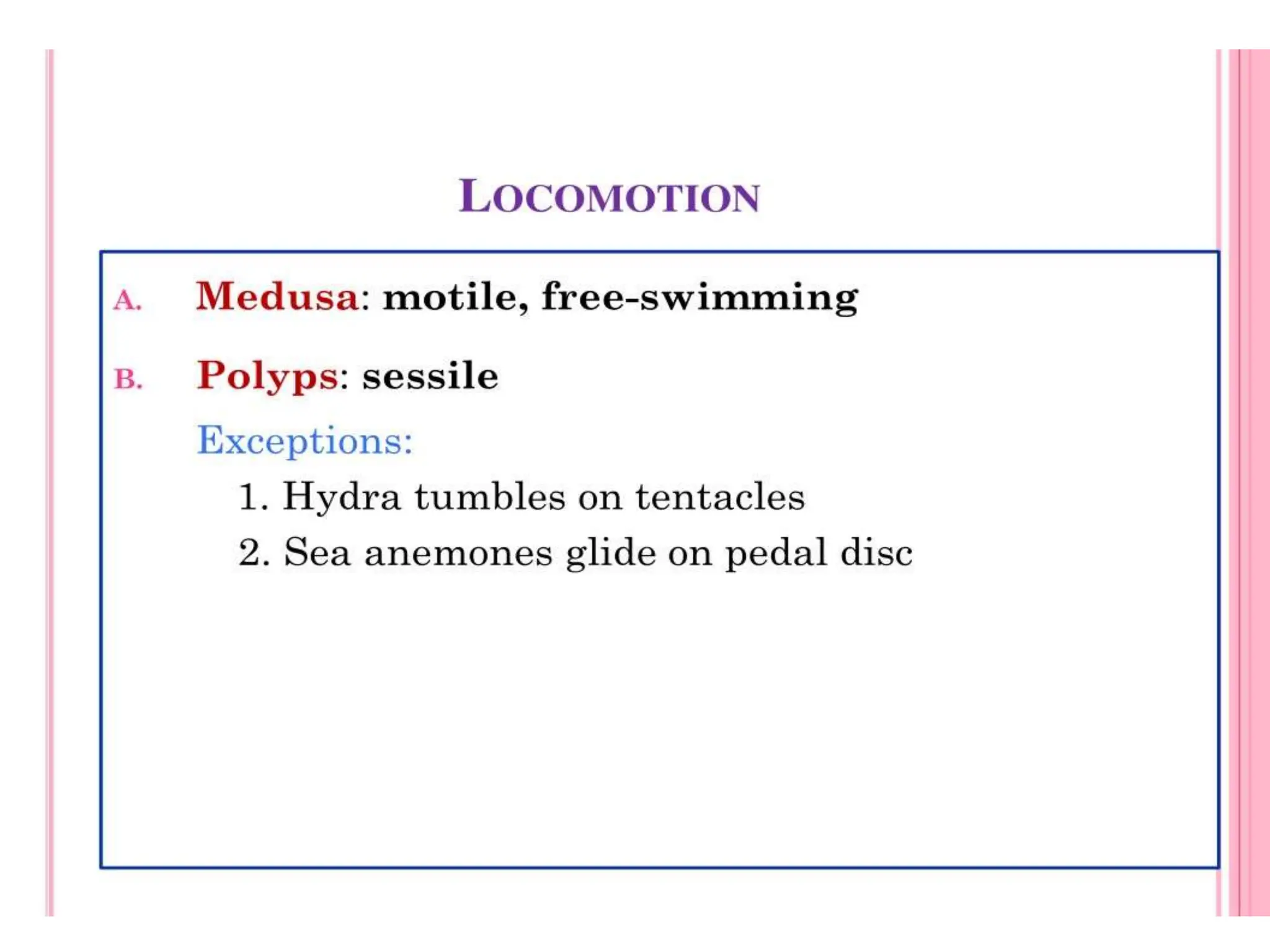 COELENTERATA CLASSIFICATION.-Cnidaria pptx | PPT