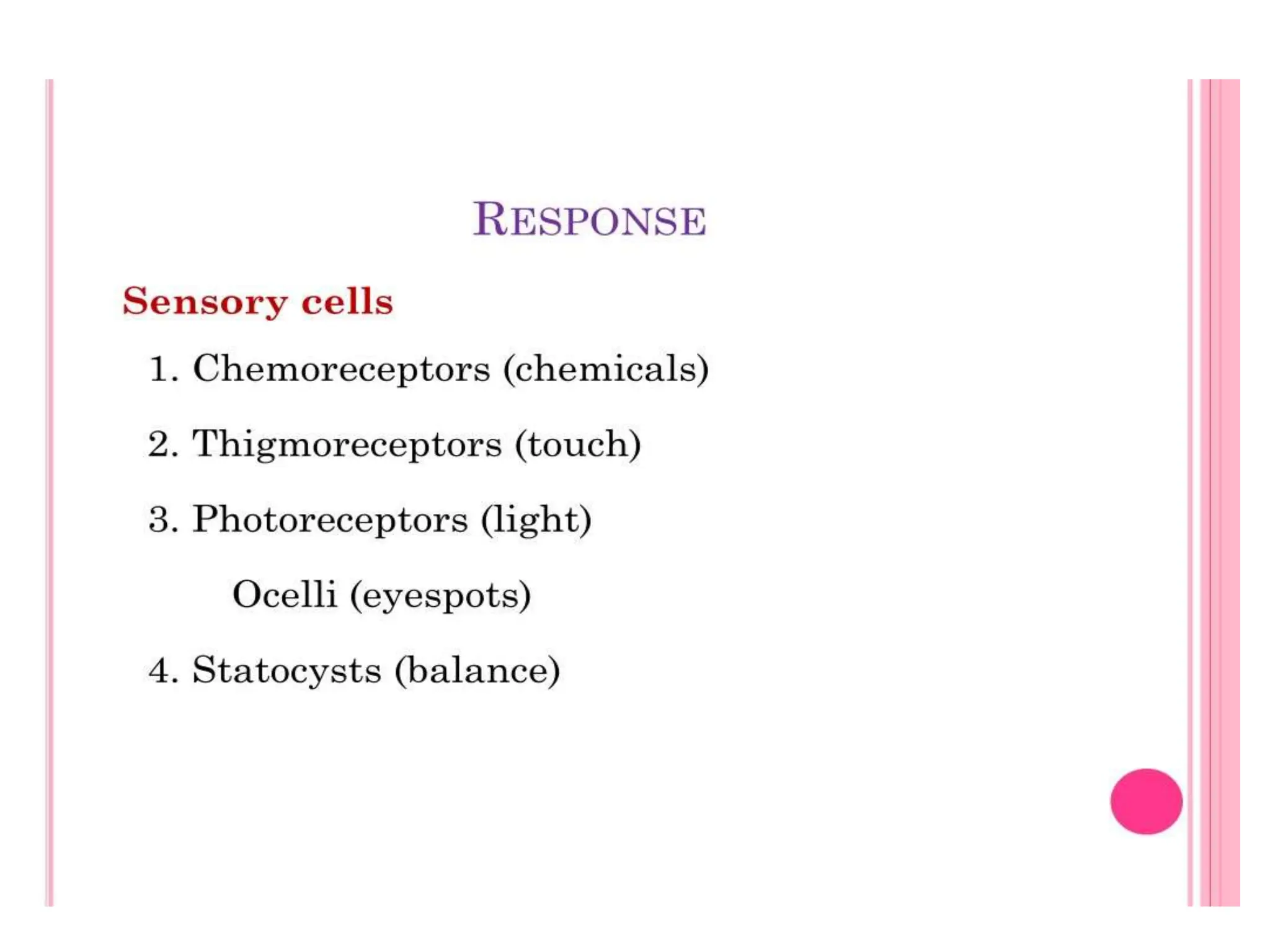 COELENTERATA CLASSIFICATION.-Cnidaria pptx | PPT