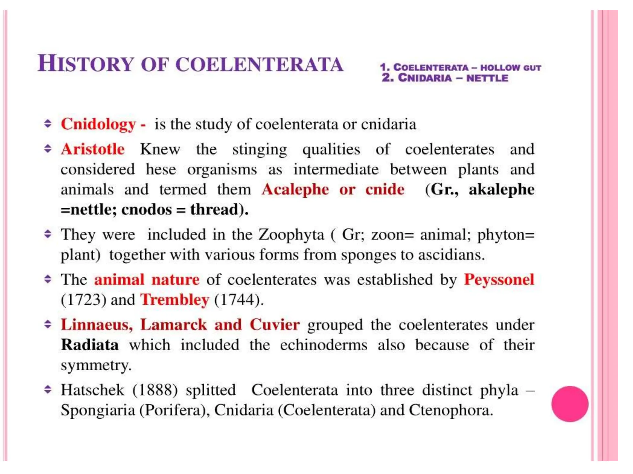 COELENTERATA CLASSIFICATION.-Cnidaria pptx | PPT
