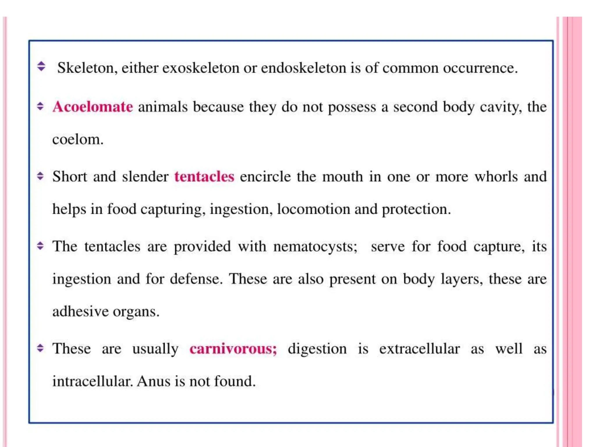 COELENTERATA CLASSIFICATION.-Cnidaria pptx | PPT