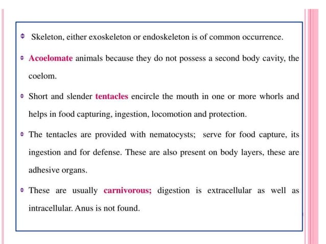 COELENTERATA CLASSIFICATION.-Cnidaria pptx | PPT