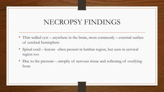 Coenurosis in ruminants | PPTX