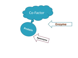 Co-factor | PPTX