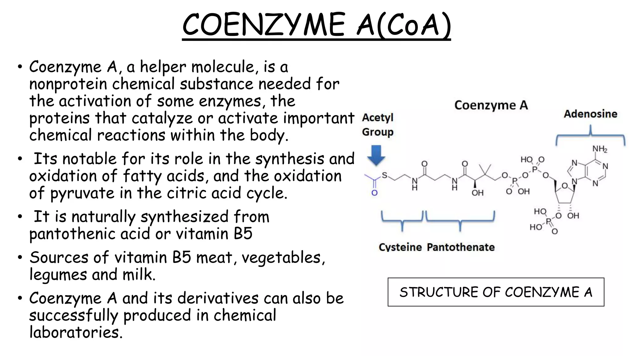 Coenzymes and their functions | PPTX