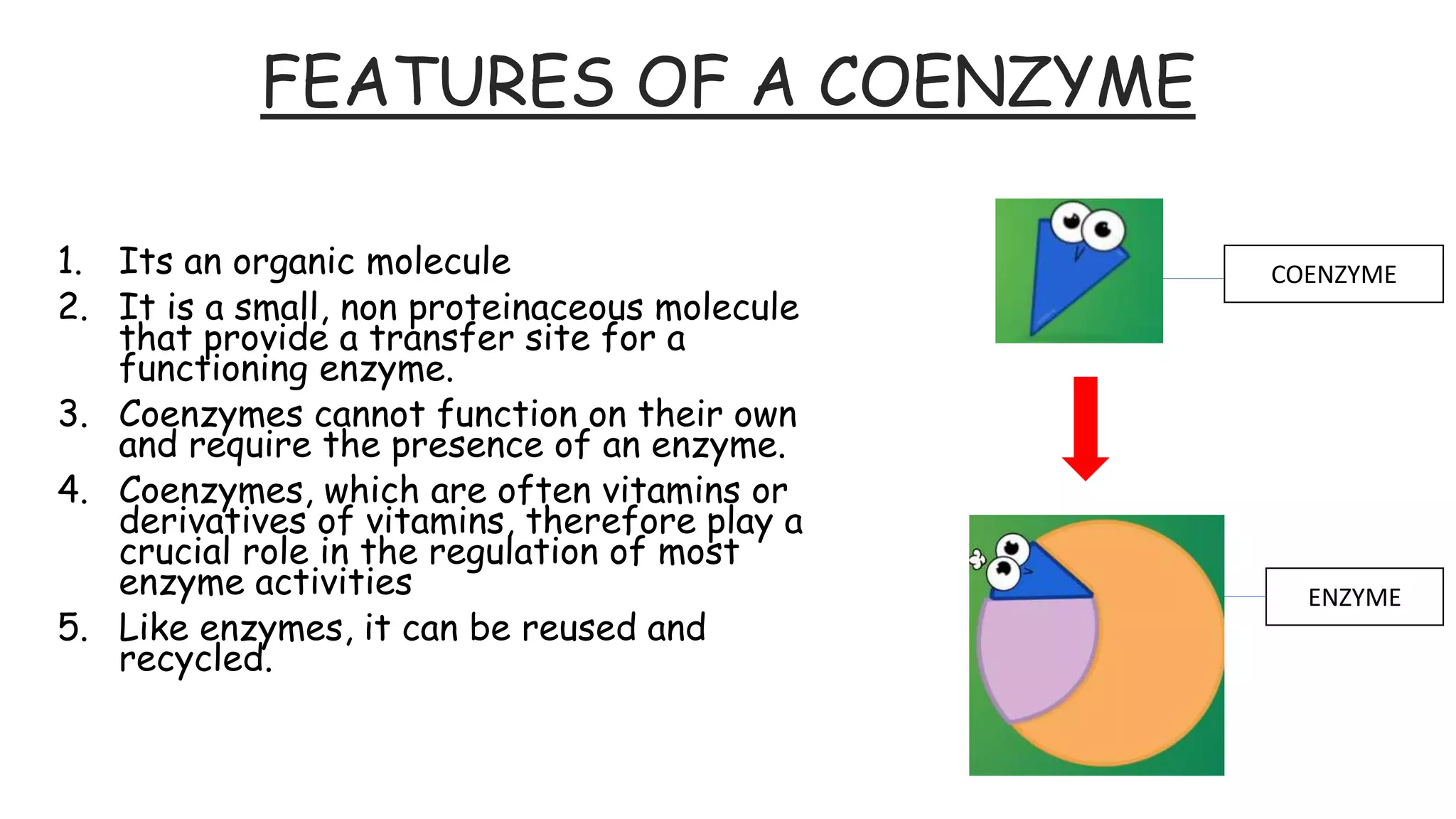 Coenzymes and their functions | PPTX