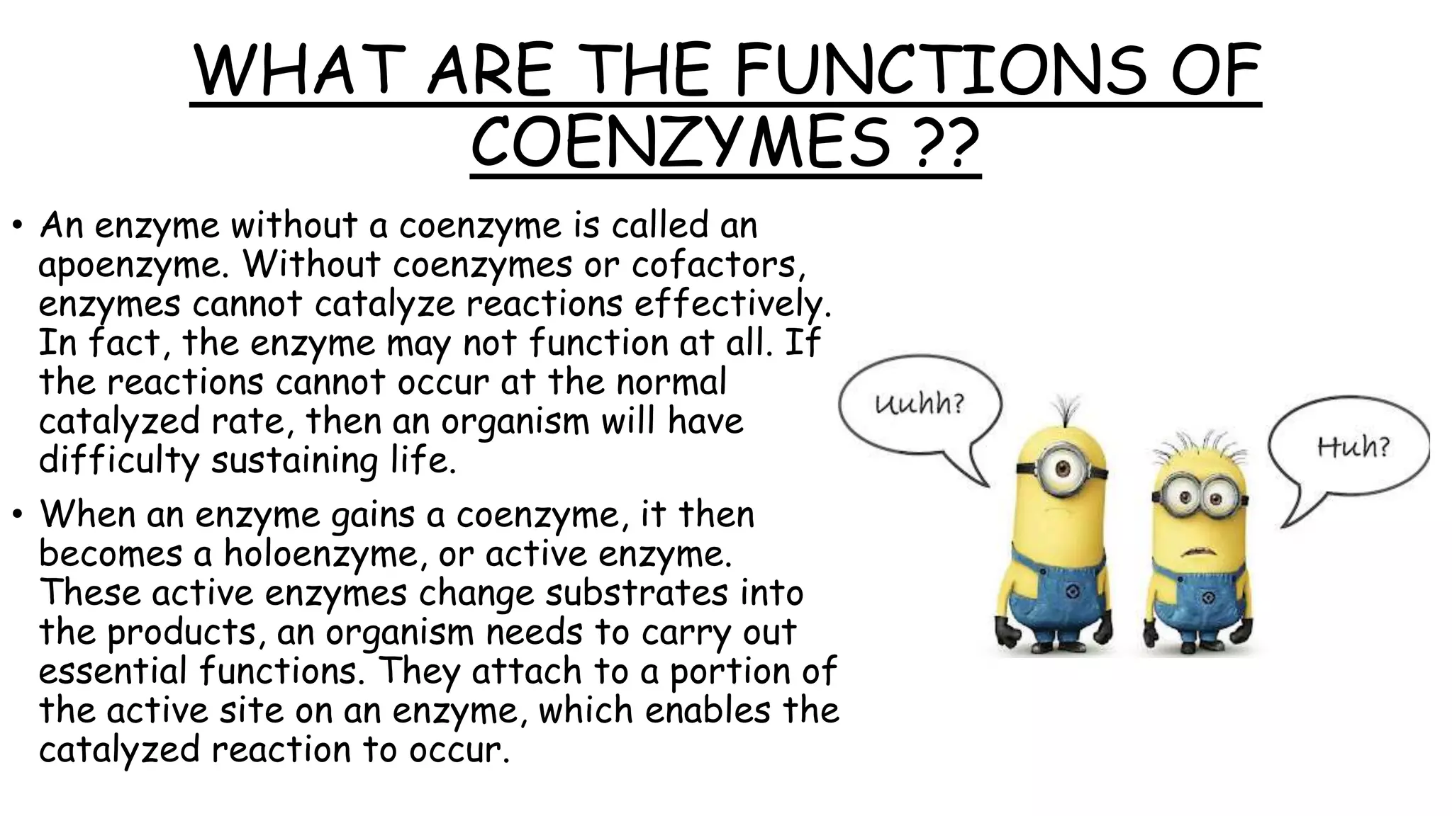 Coenzymes and their functions | PPTX