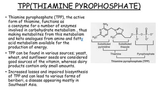 Coenzymes and their functions | PPTX