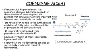 Coenzymes and their functions | PPTX