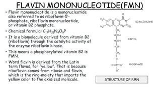 Coenzymes and their functions | PPTX