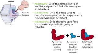 Coenzymes and their functions | PPTX