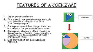Coenzymes and their functions | PPTX