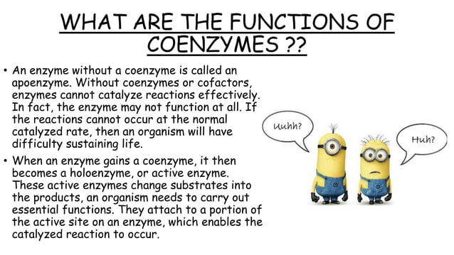 Coenzymes and their functions | PPTX