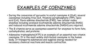 Coenzymes and their functions | PPT