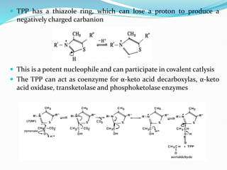 Coenzymes.pptx