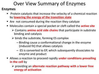 Coenzymes and Cofactors -pg.pptx