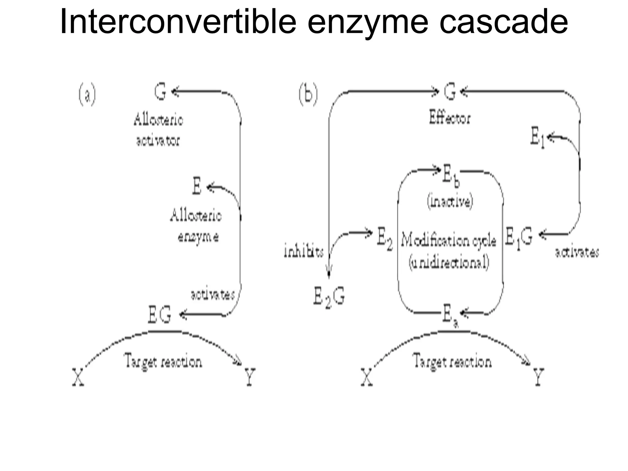 Coenzymes and Cofactors -pg.pptx