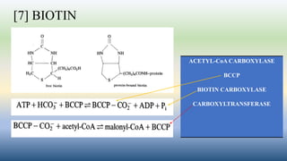Coenzymes : Structure and function | PPTX
