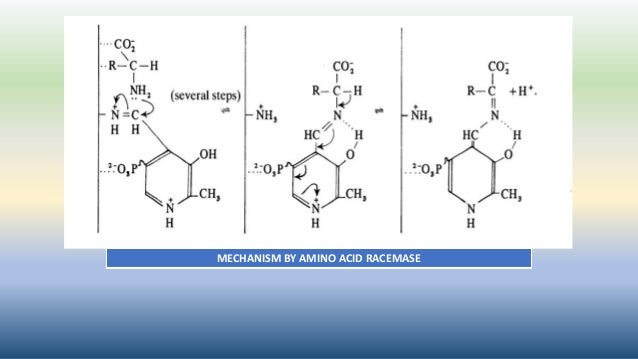 Coenzymes : Structure and function