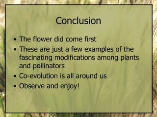 Coevolution Definition