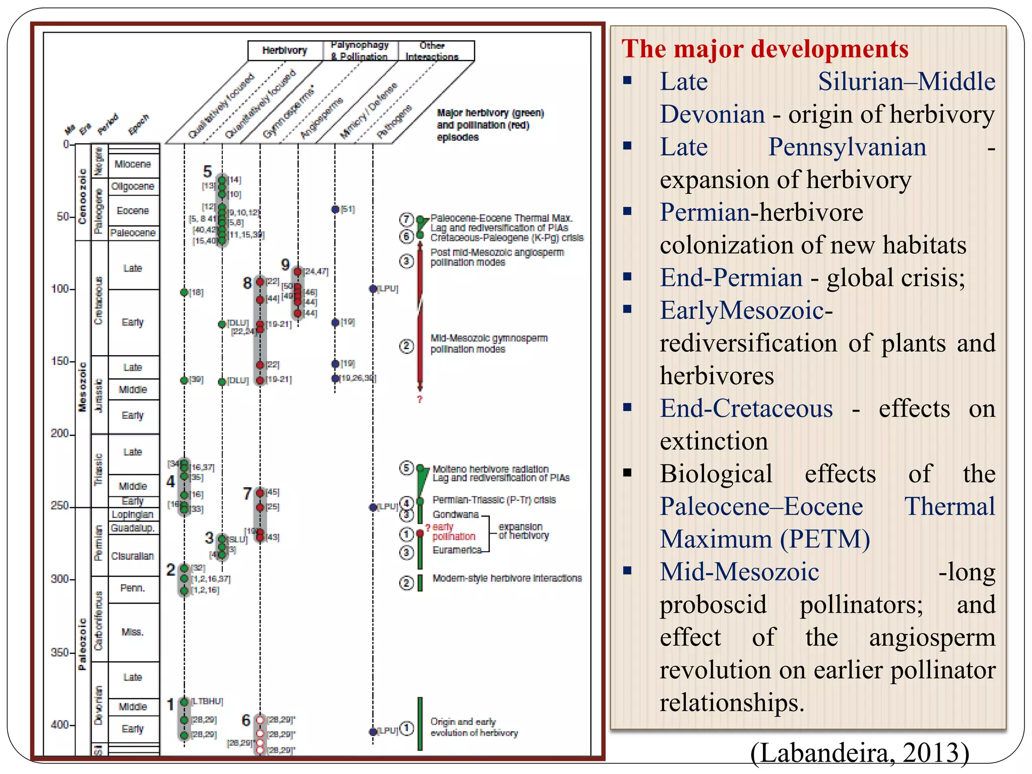 Coevolution of plant and insects | PDF