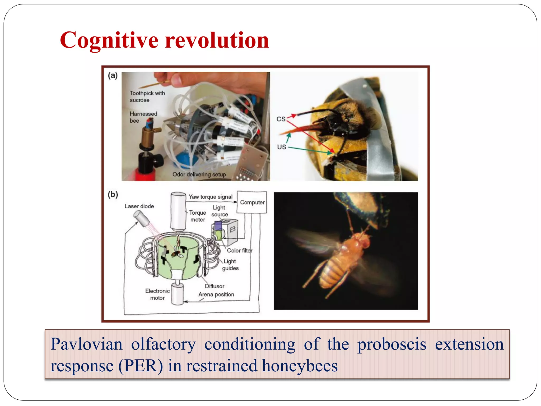 Coevolution of plant and insects | PDF