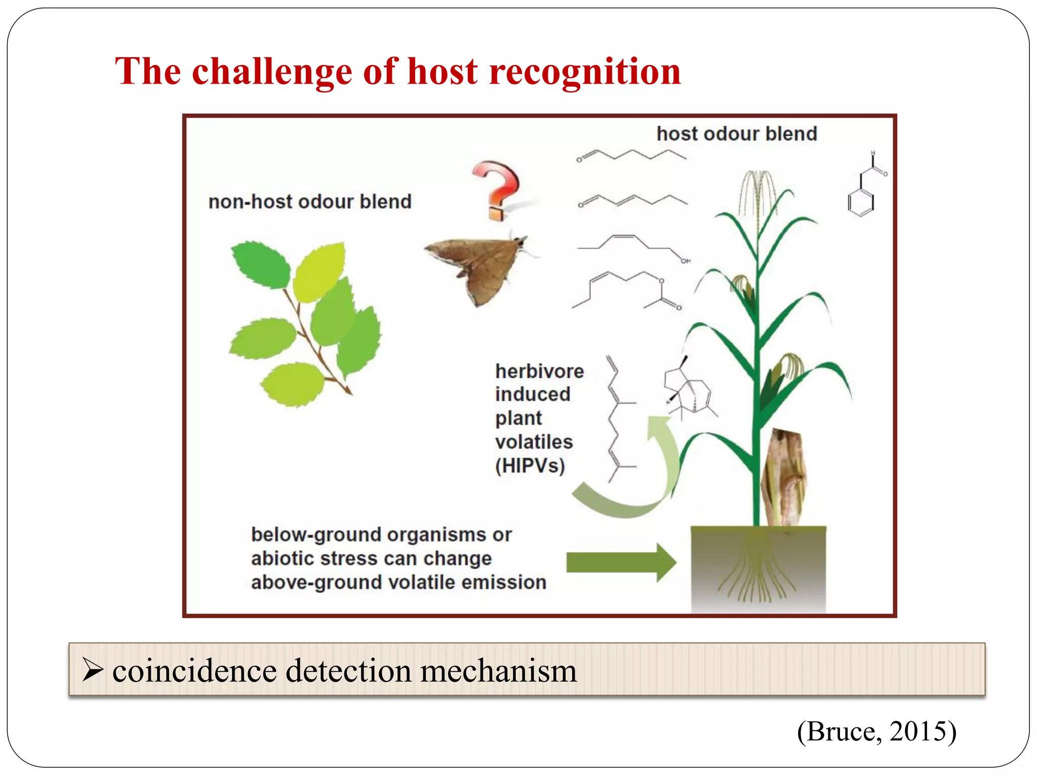 Coevolution of plant and insects | PDF