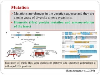 Coevolution of plant and insects | PDF