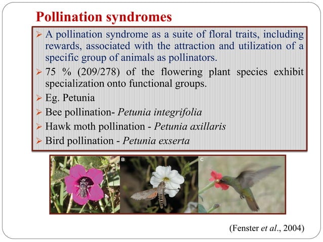 Coevolution of plant and insects | PDF | Beekeeping | Hobbies & Interests