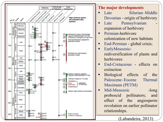 Coevolution of plant and insects | PDF | Beekeeping | Hobbies & Interests