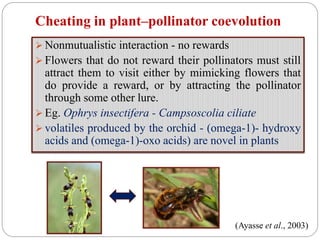 Coevolution Examples In Plants And Animals
