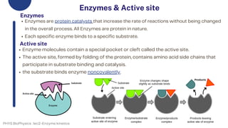 enzyme_kinetics(engineering_biophysics).pdf