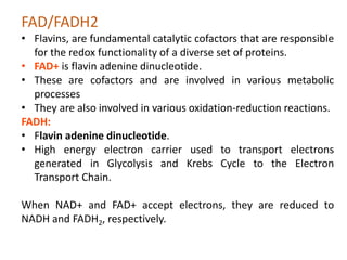 Cofactor and Coenzyme.ppt