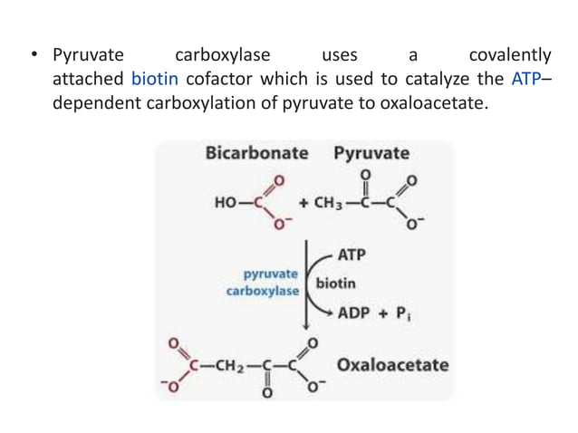 Cofactor And Coenzymeppt Chemistry Science 2245