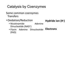 Cofactor and Coenzyme.ppt