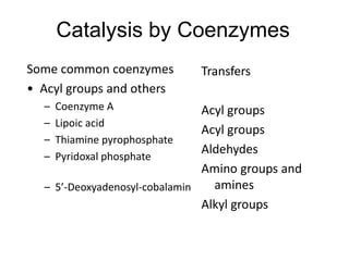 Cofactor and Coenzyme.ppt