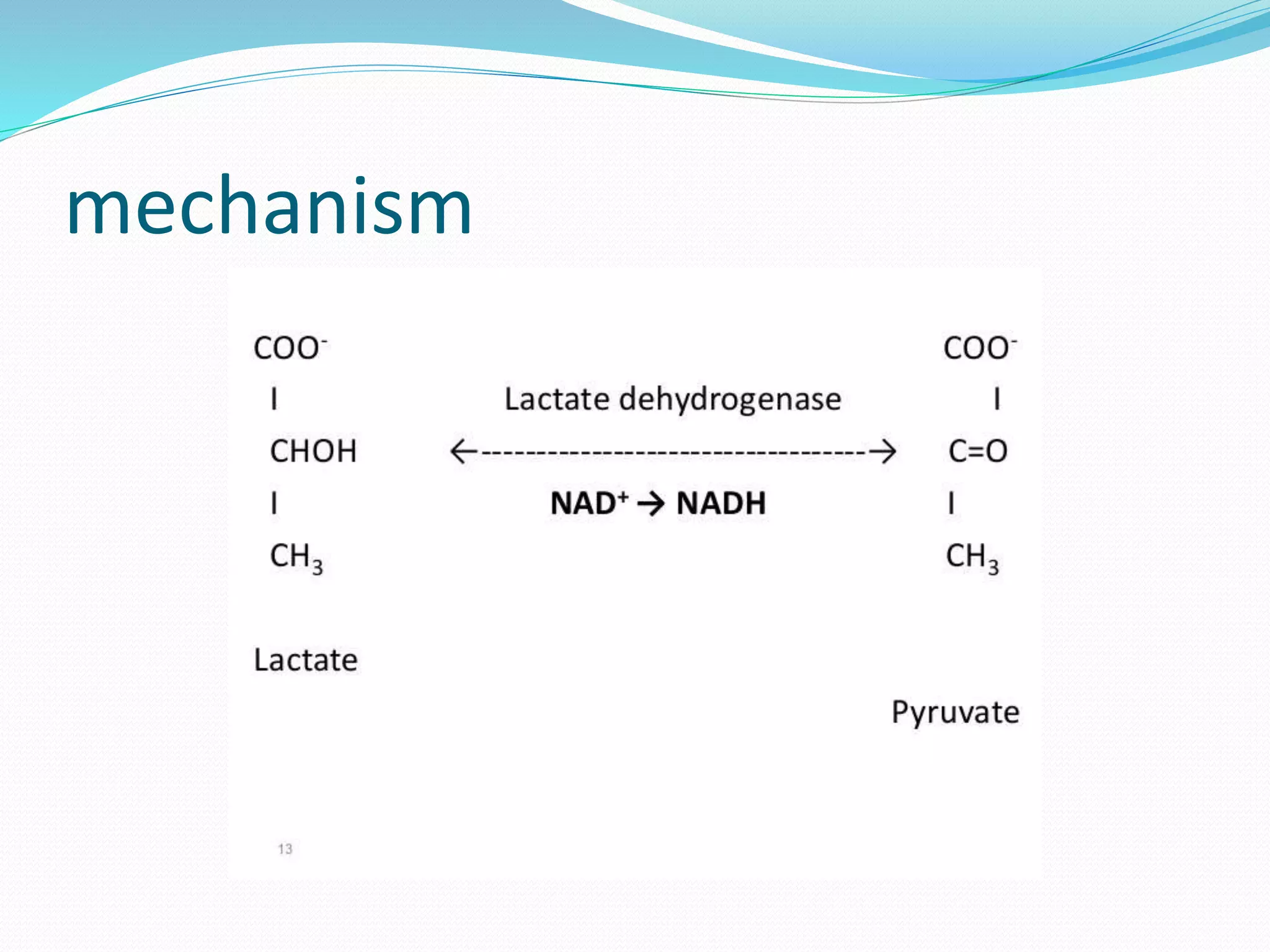 Cofactor binding bioinformatics | PPTX