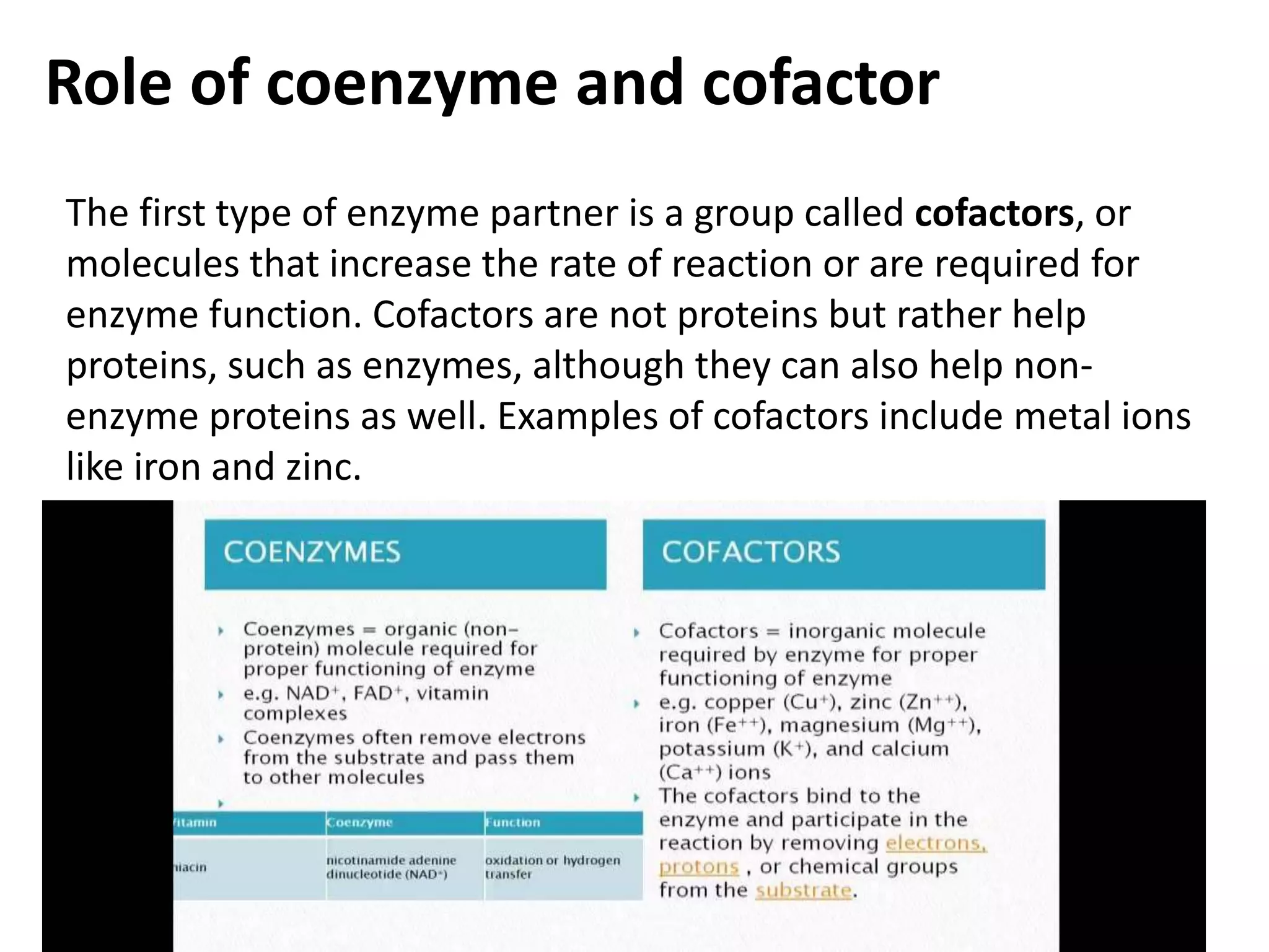 Enzyme cofactors | PPT
