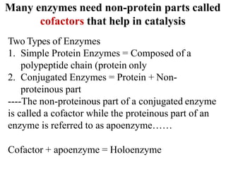 Enzyme cofactors | PPTX