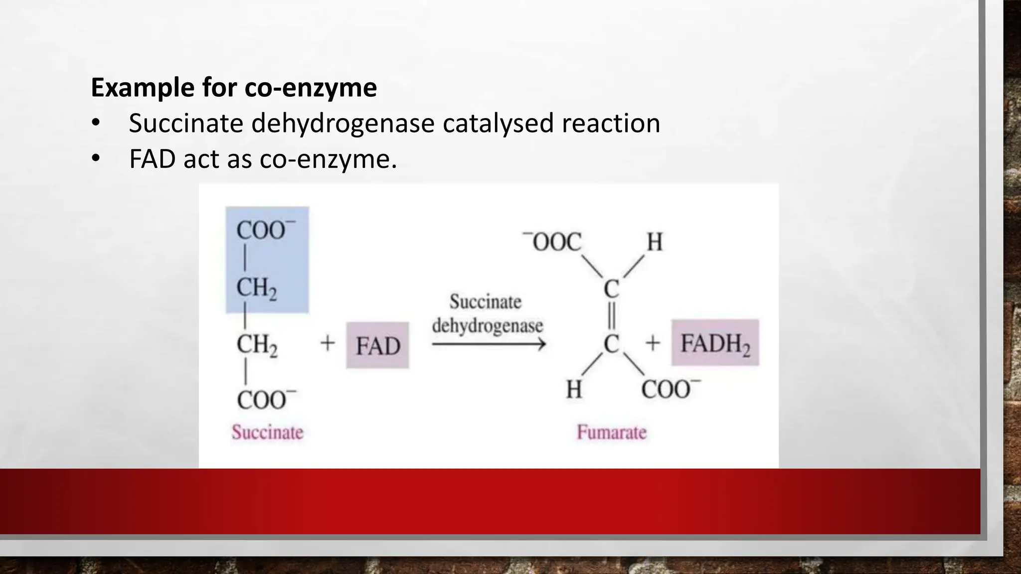 Cofactors, Coenzymes, Abzymes and Ribozymes.pptx | Chemistry | Science