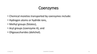 Cofactors, coenzymes and prosthetic group | PDF