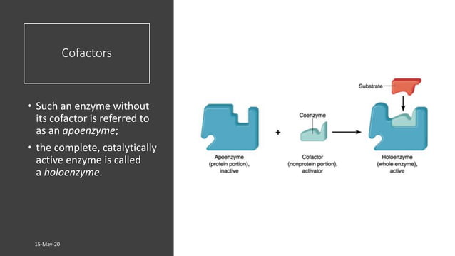 Cofactors, coenzymes and prosthetic group | PDF