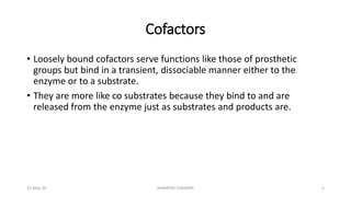 Cofactors, coenzymes and prosthetic group | PDF
