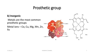 Cofactors, coenzymes and prosthetic group | PDF