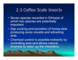Cofee pests and diseases slides | PDF