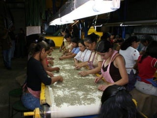 #USPCA2016: Specialty Coffee from Seed to Cup from Mark Verrochi | PPT ...