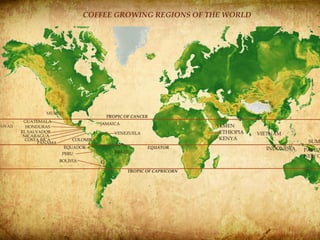 #USPCA2016: Specialty Coffee from Seed to Cup from Mark Verrochi | PDF