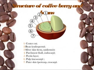 Coffee | PPT