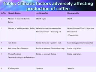 A presentation on Coffee | PPTX